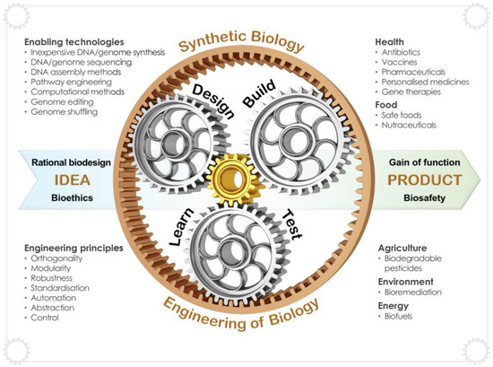 Synthetase: Bringing SynBio to students in India — iGEM Blog