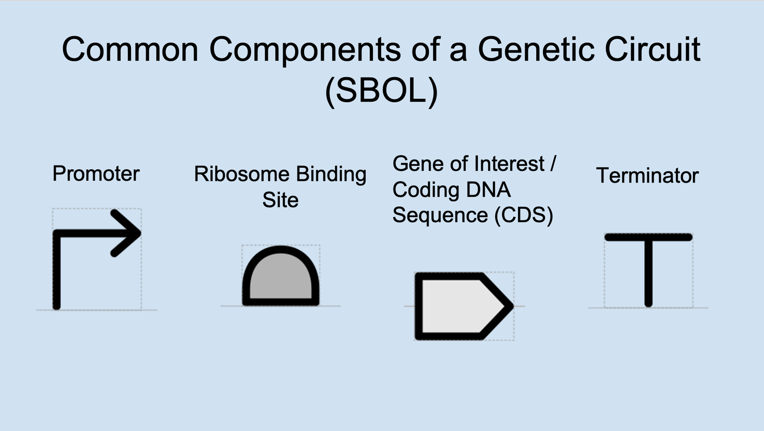 Cloning & Assembly Plans — iGEM Blog