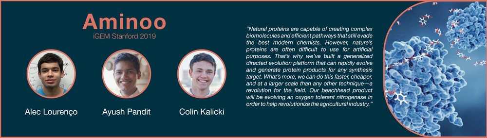 Reflections on the Americas Venture Creation Lab — iGEM Blog