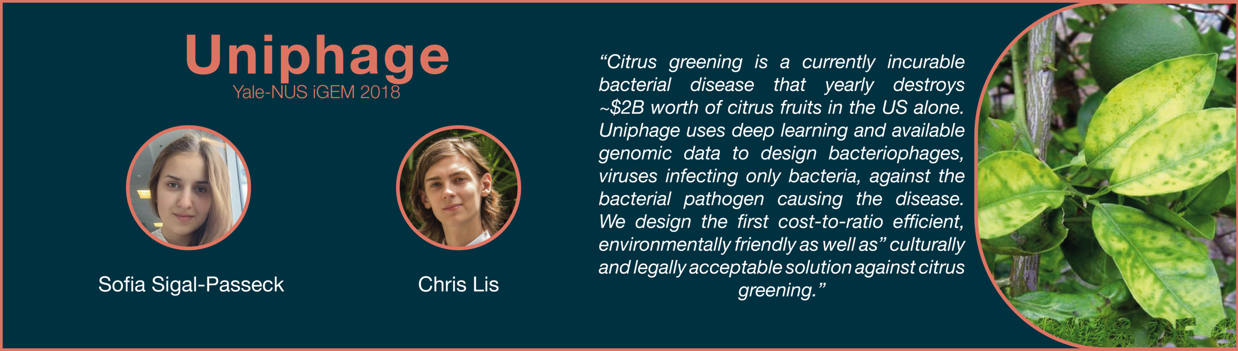 Reflections on the Americas Venture Creation Lab — iGEM Blog