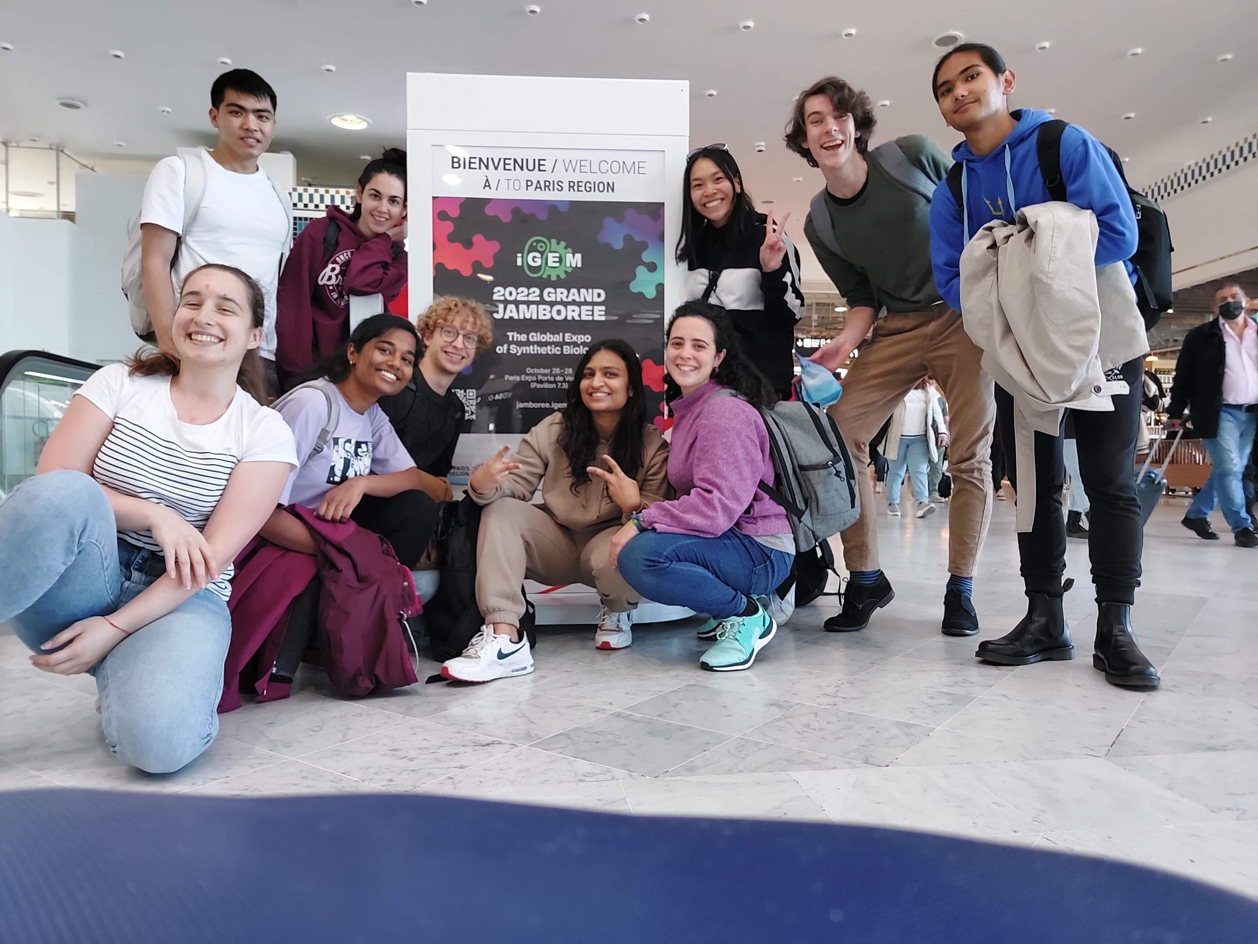 How to Succeed in iGEM: Decoding a Successful iGEM Competition Team ...