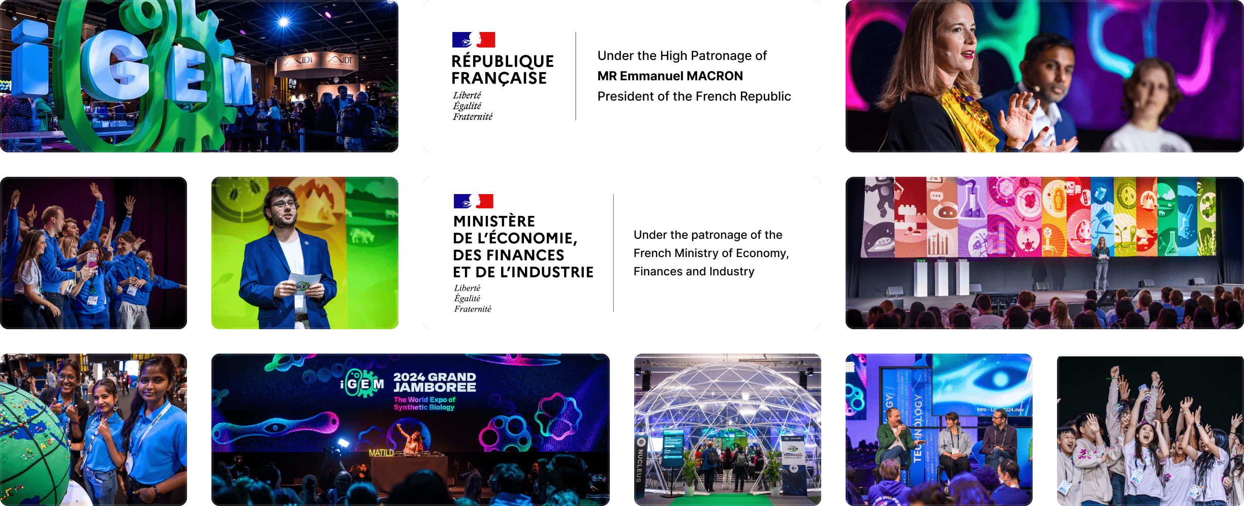 Thank you for another record-breaking year – iGEM 2024! — iGEM Blog