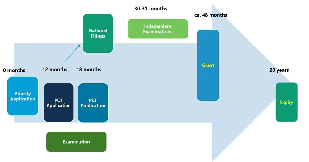 Common Challenges In Your Bio-Entrepreneurship Journey and How To ...