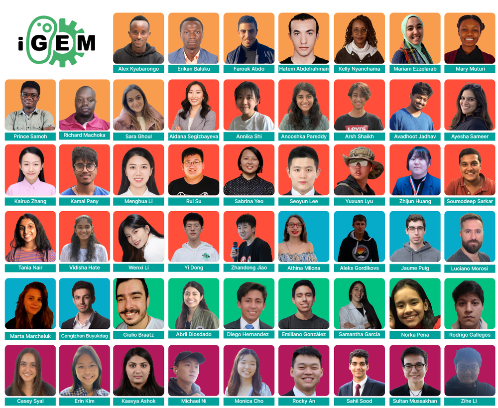 The iGEM Ambassador Program: Then and Now — iGEM Blog
