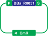Celebrating 20 years of Standard Biological Parts — iGEM Blog