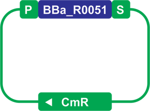 Celebrating 20 years of Standard Biological Parts — iGEM Blog