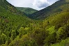 Thompson Divide Coalition