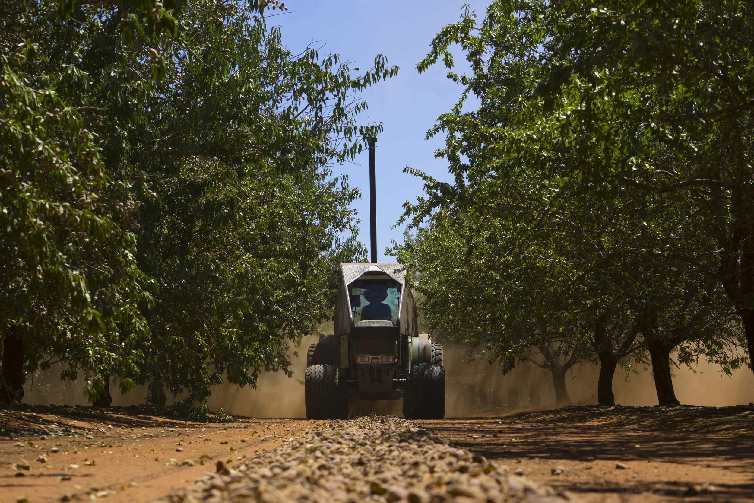 Our Almonds — Mandolé Orchard