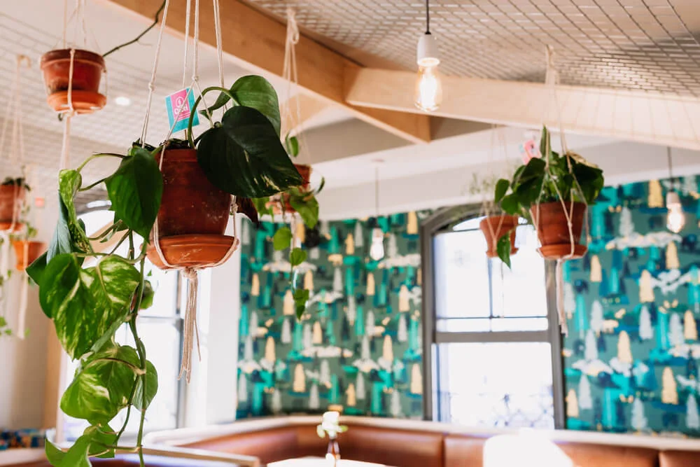 BISON BEER | Independent Craft Beer Bars & Brewing