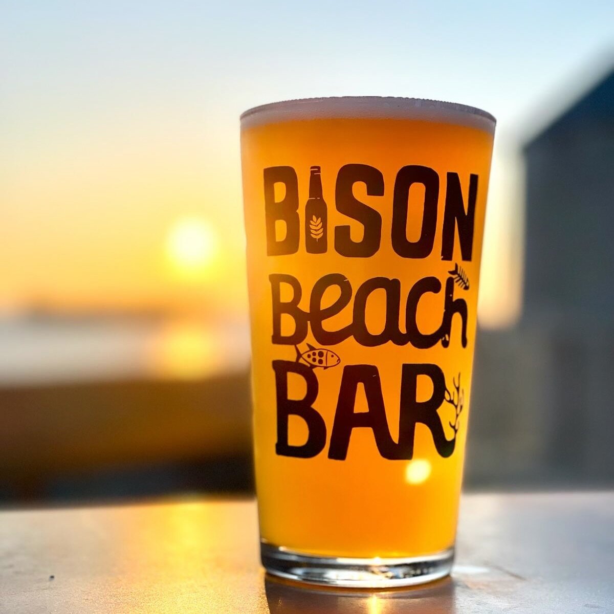 BISON BEER | Independent Craft Beer Bars & Brewing
