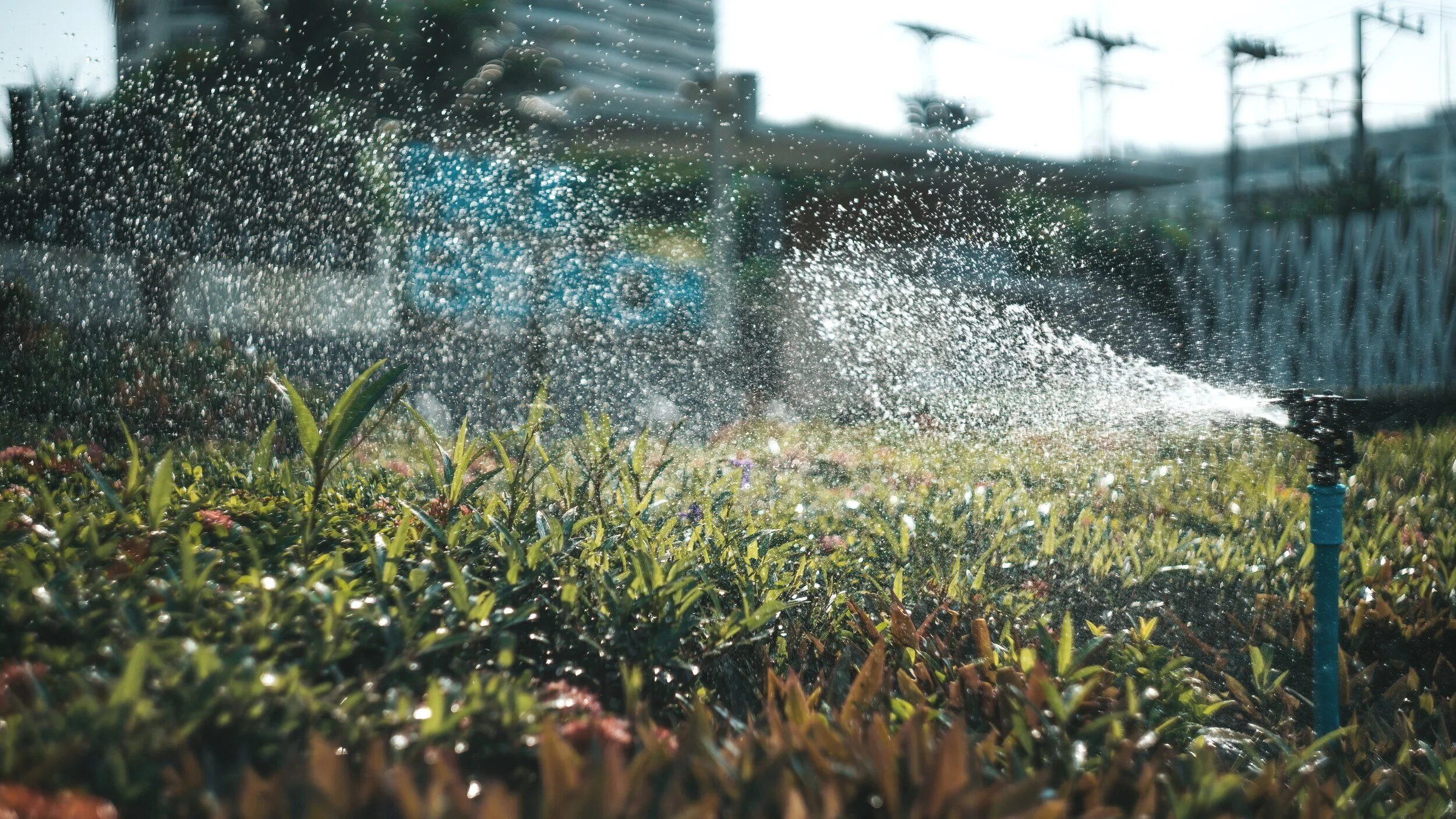 q&A: everything you need to know about automatic Irrigation Systems ...