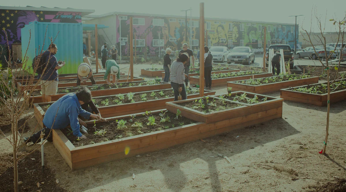 Community Development Partners