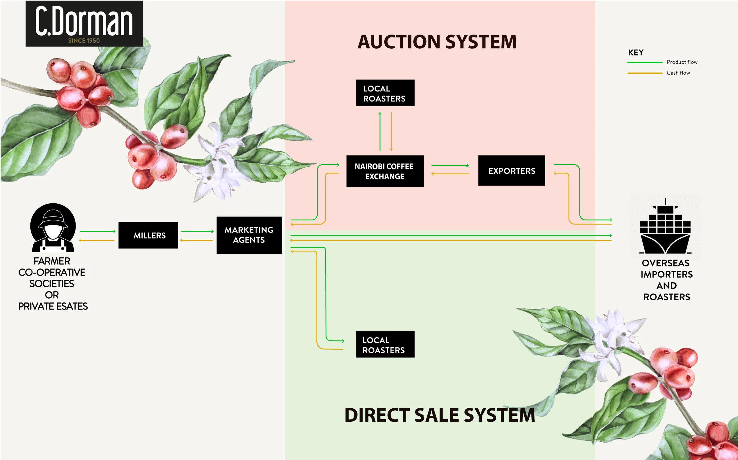 About Us — C.Dorman Green Coffee Merchants