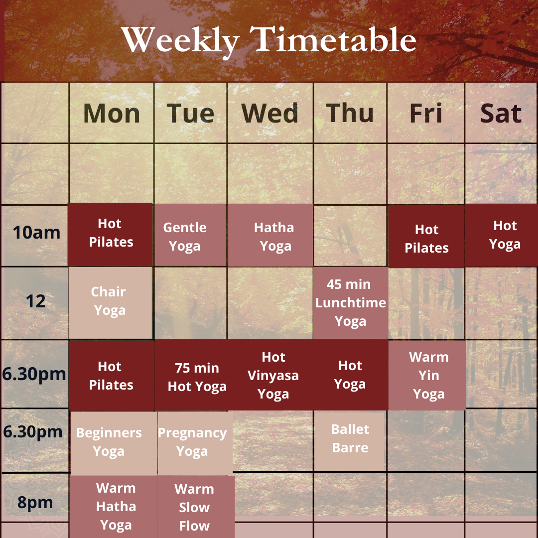 Timetable | View Schedules & Join Today — Absolute Yoga Crosby