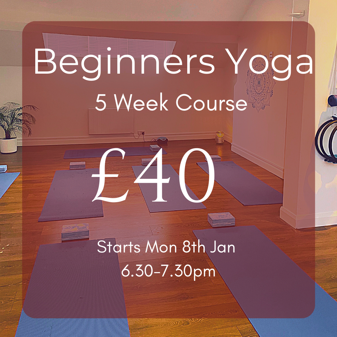 Beginners Yoga — Absolute Yoga Crosby