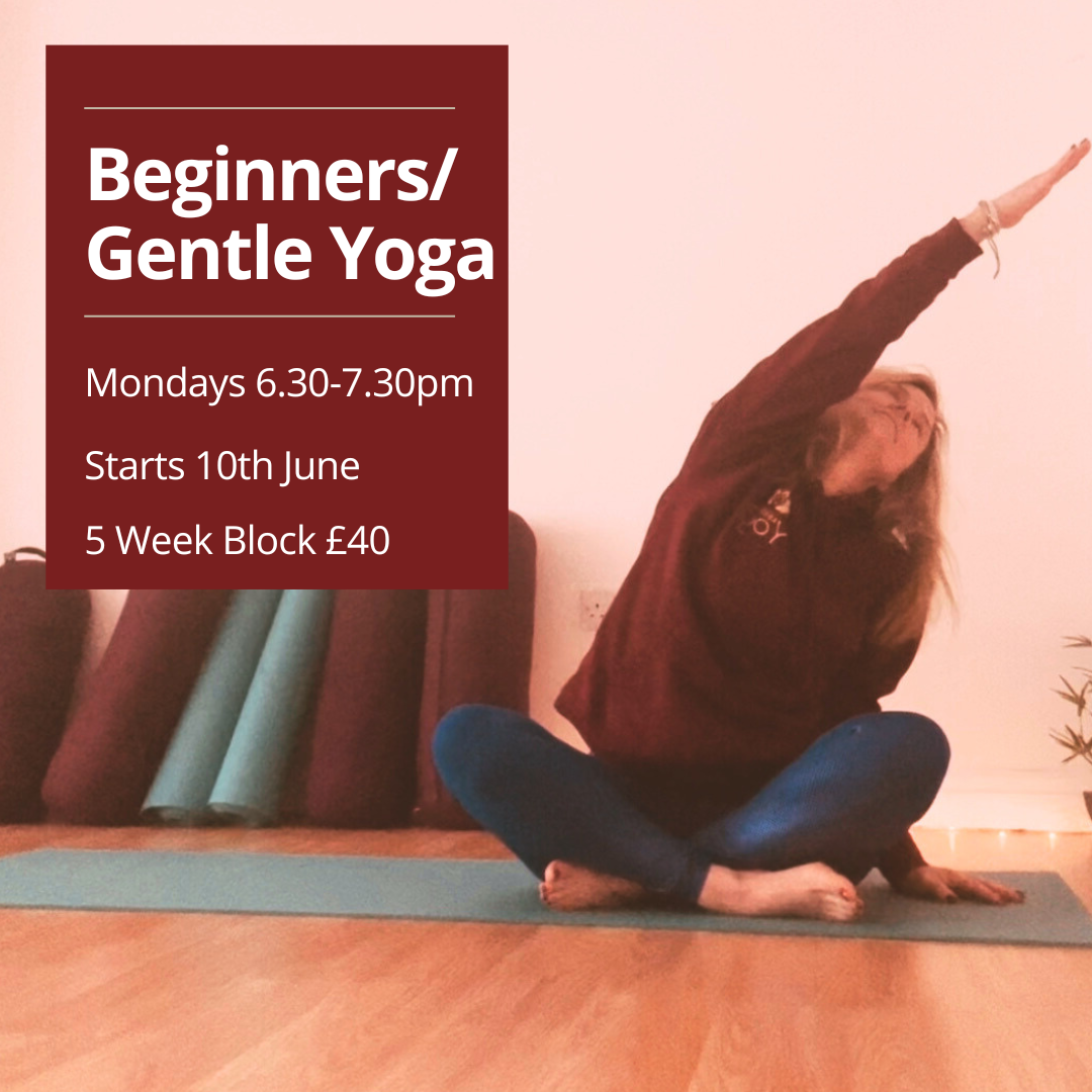 Beginners Yoga — Absolute Yoga Crosby