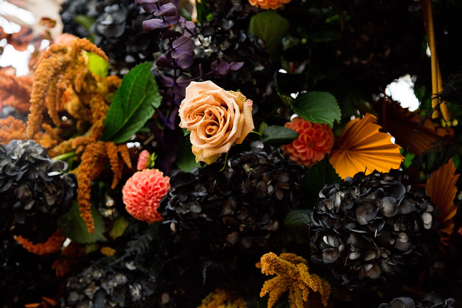 Bulfinch In Bloom || Boston Popups — The P R I S M House | of ...