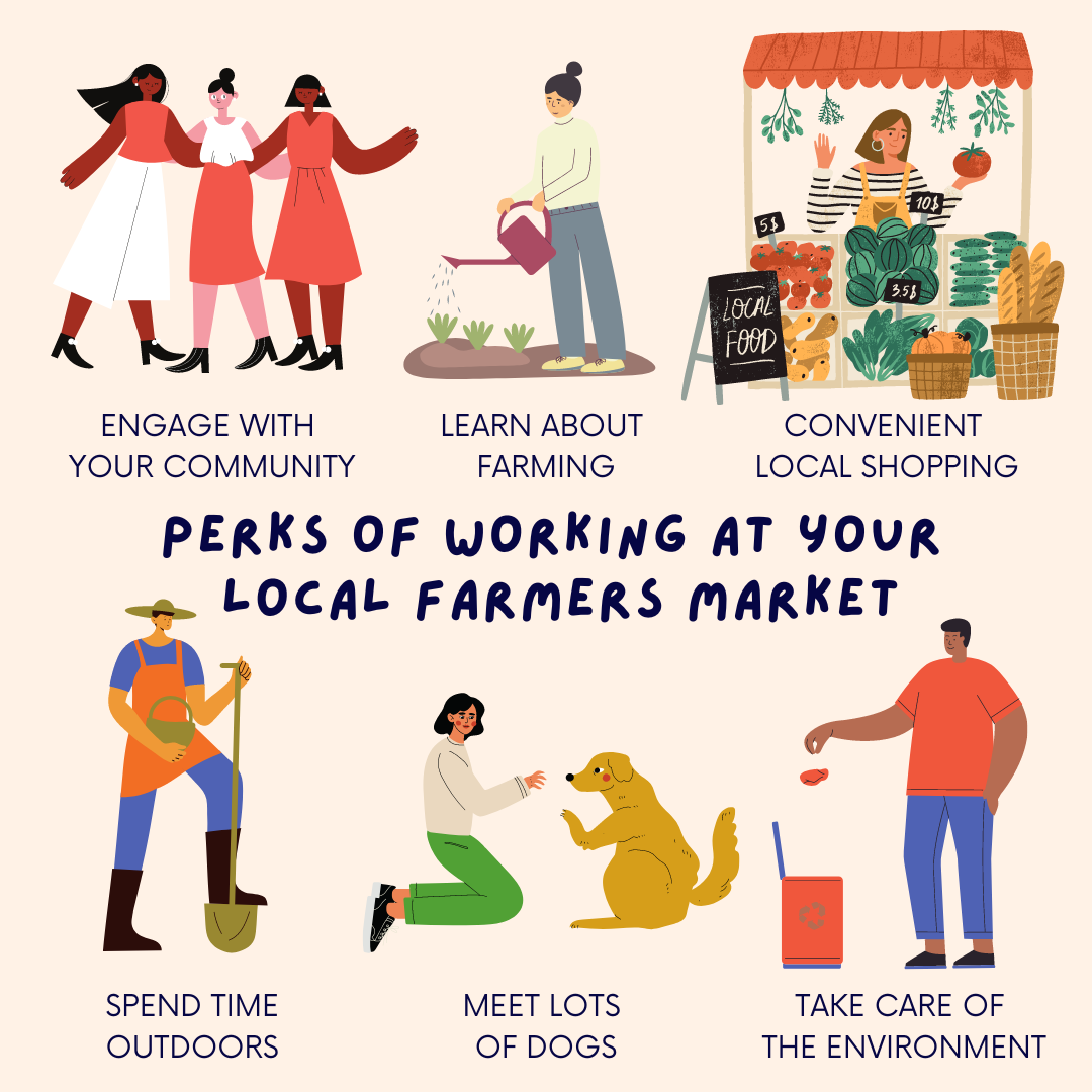 Jobs & Volunteer Opportunities — 12 south farmers market