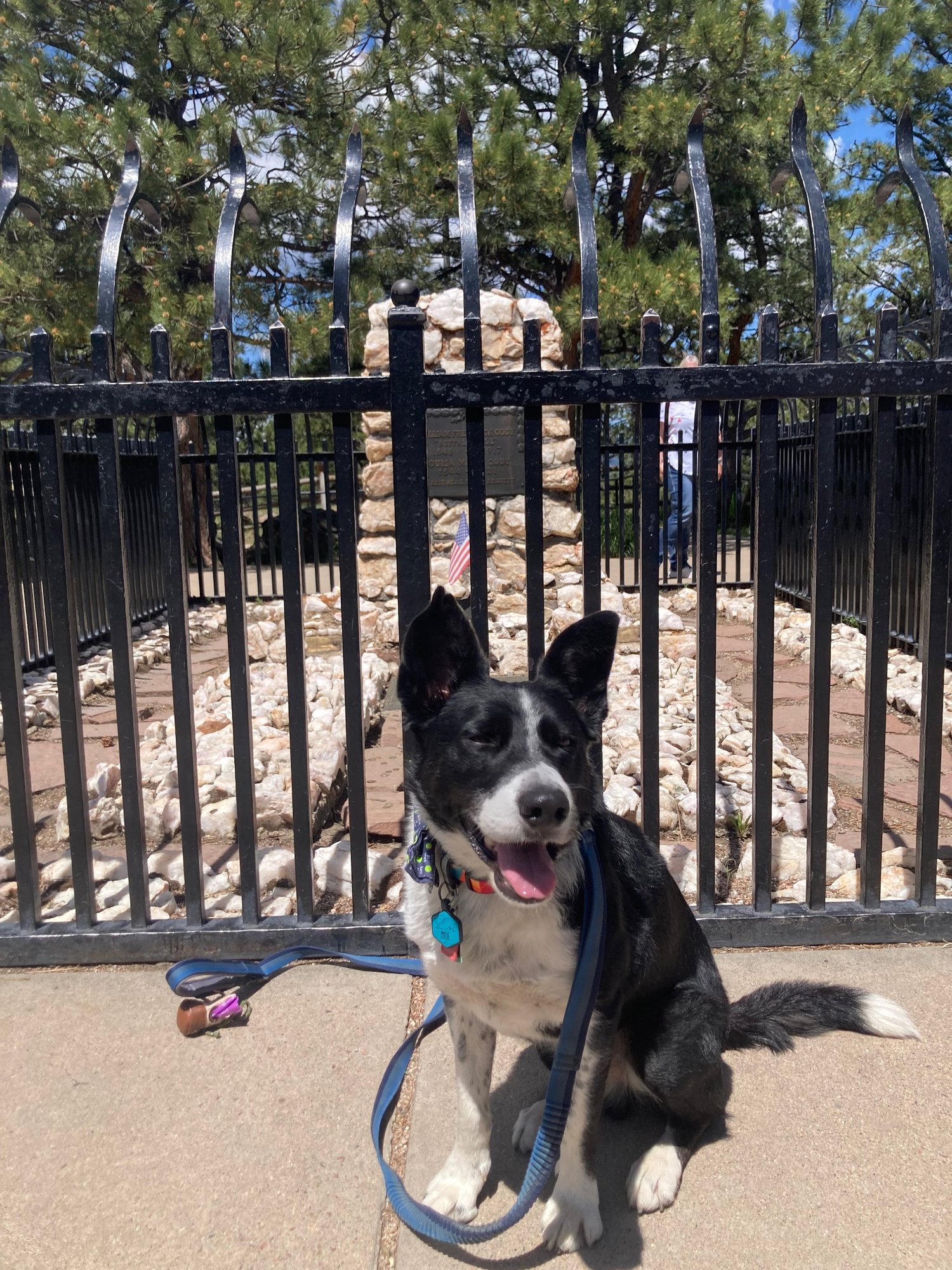 Moe's History Adventures — Cecily N. Zander