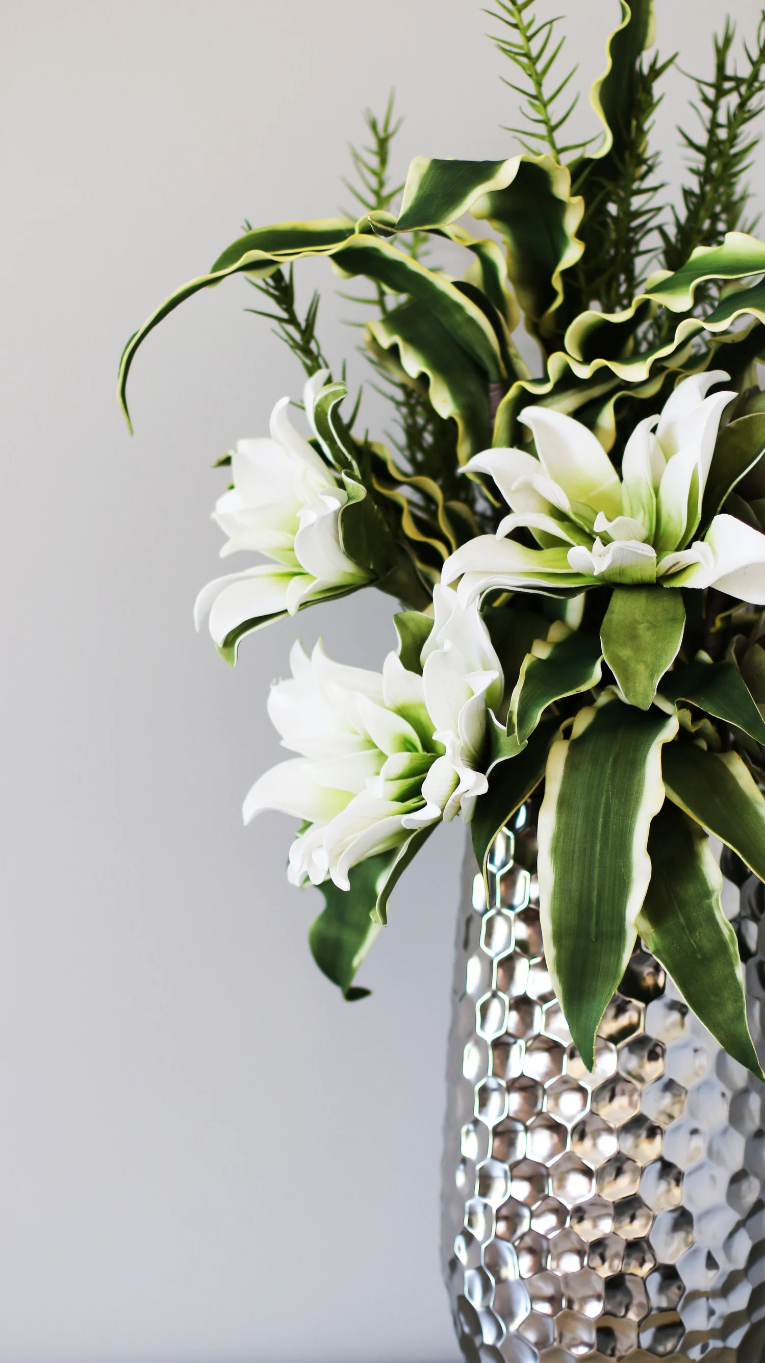 SHOWROOM — KIMMBERLY CAPONE INTERIOR DESIGN
