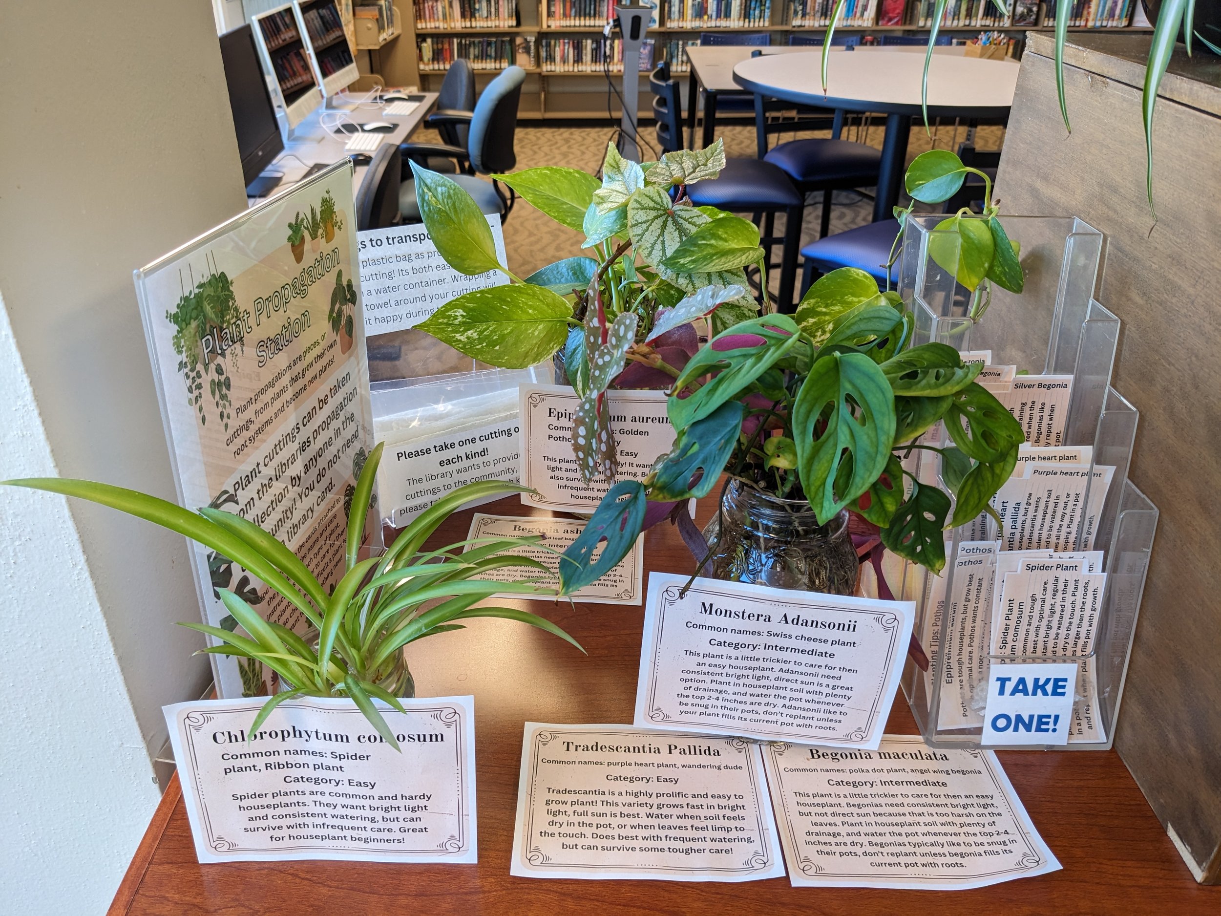Plant Propagation Station — Red Bank Public Library