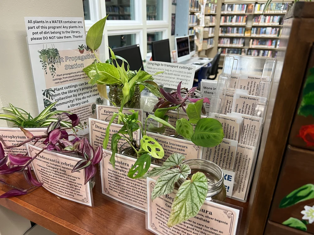 Plant Propagation Station — Red Bank Public Library