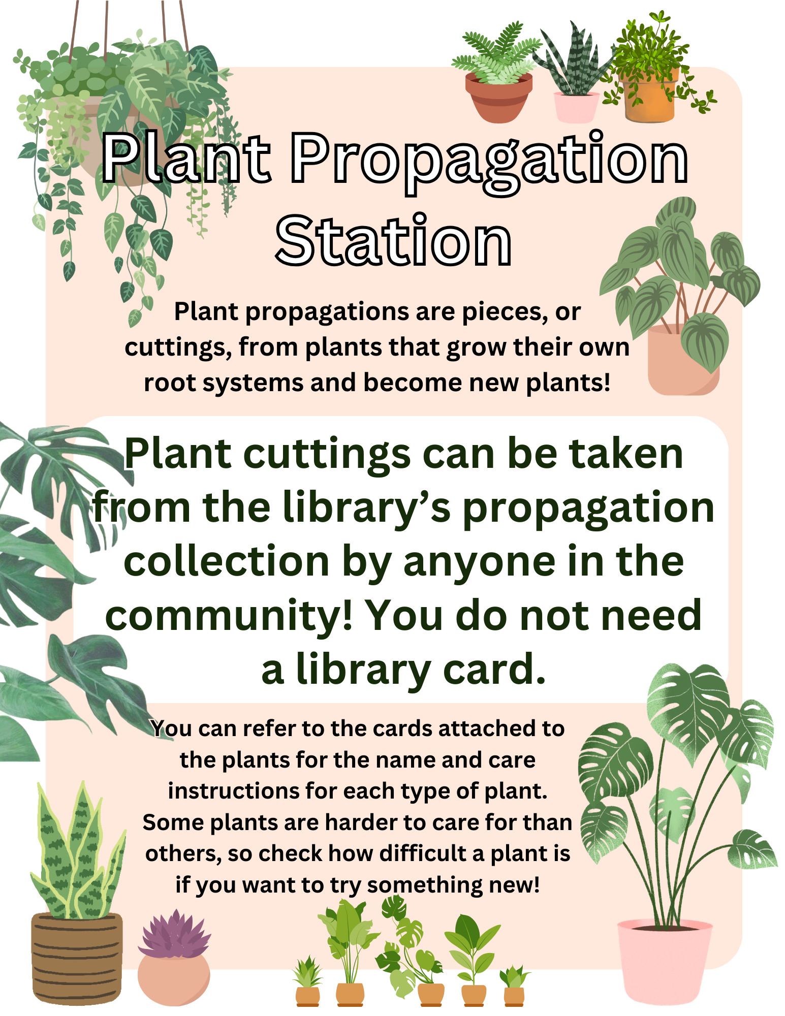 Plant Propagation Station — Red Bank Public Library