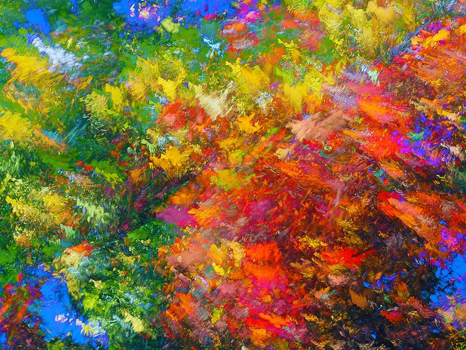 Gallery B in Bloomingfoods Near West Store — Bloomingfoods Co-op Market