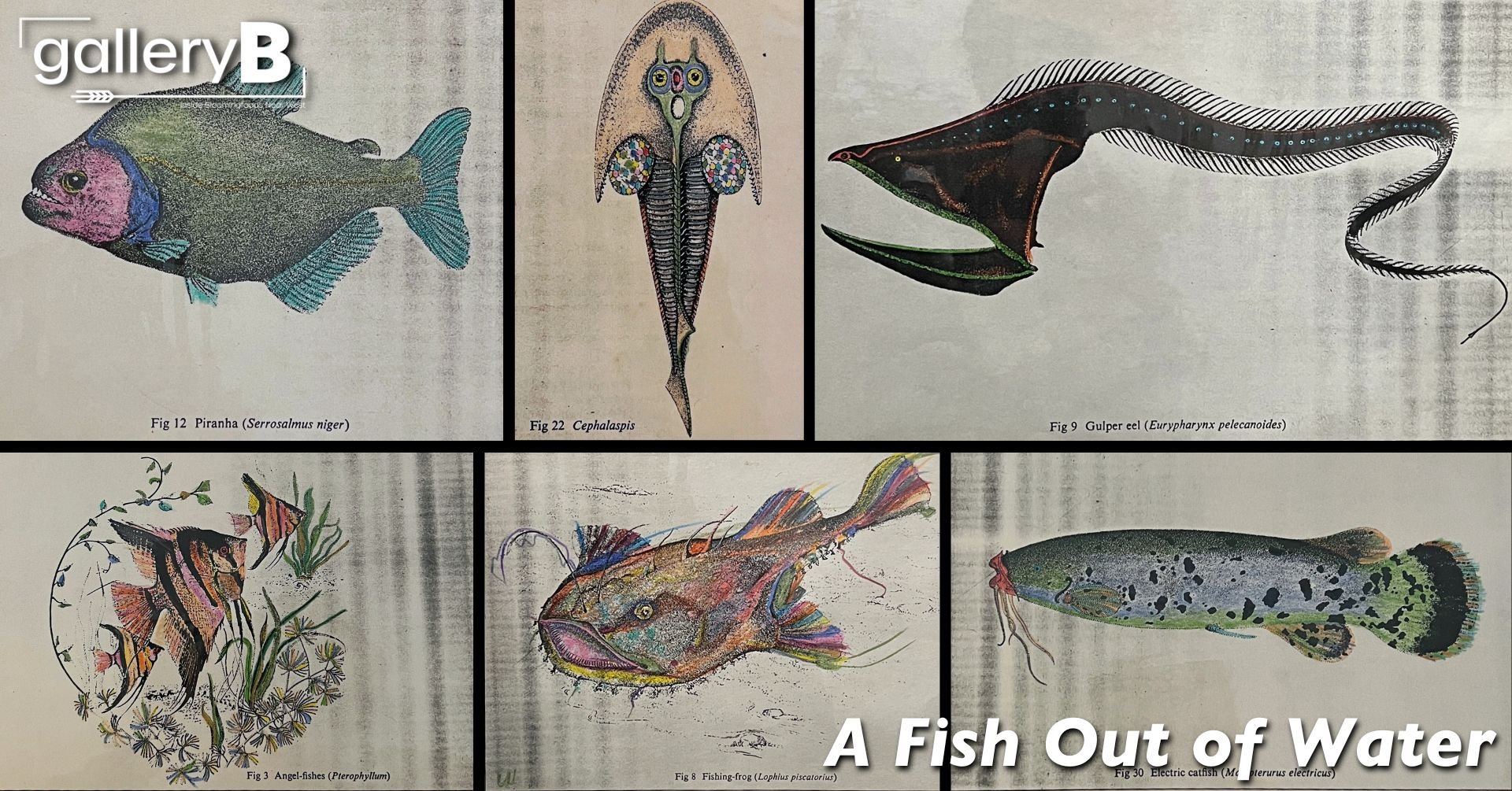 Gallery B in Bloomingfoods Near West Store — Bloomingfoods Co-op Market