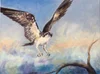 Janet Dubuc — Westport Art Group