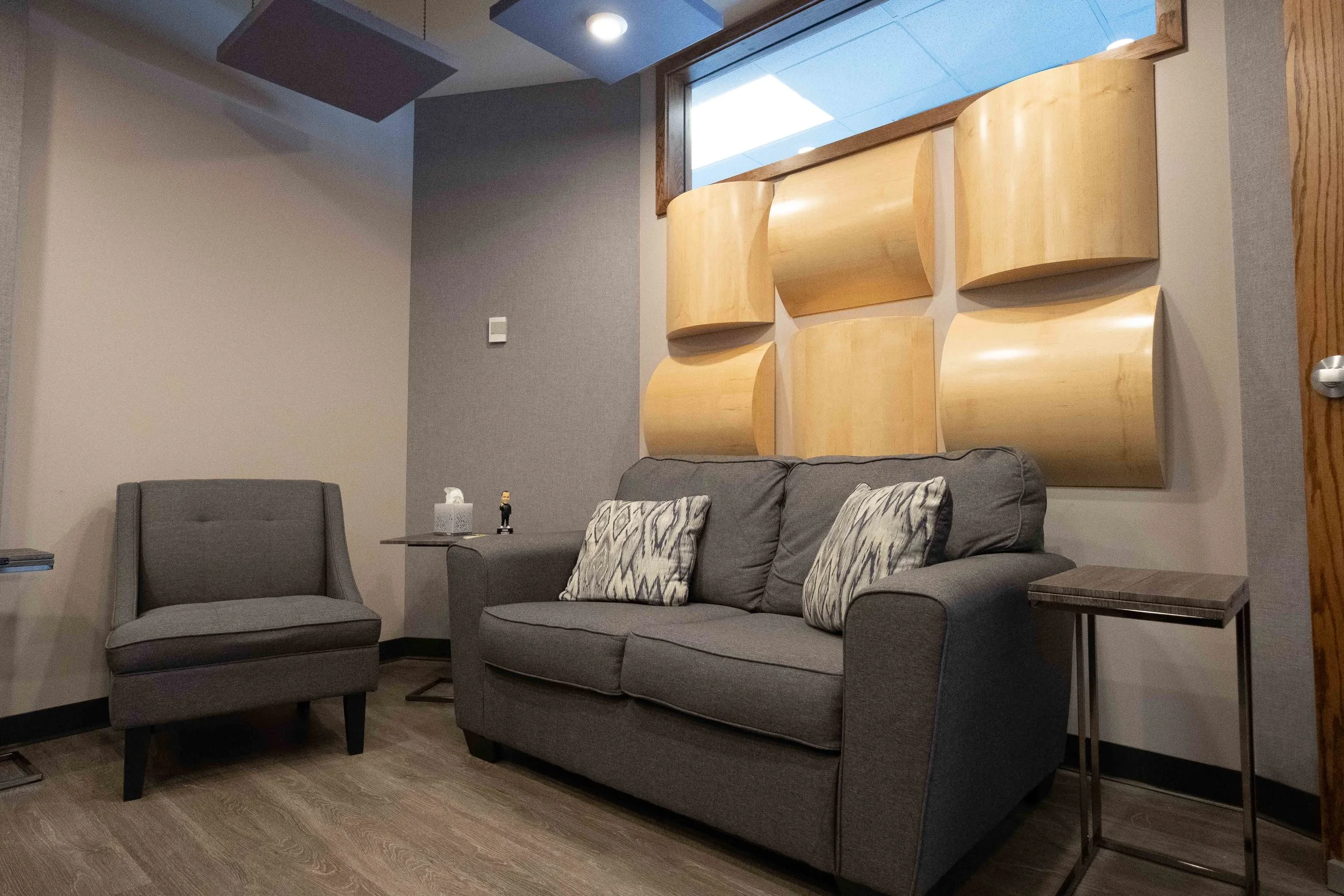 Record - Voiceover, Audiobook, Podcast Recording Minneapolis — Audio Ruckus