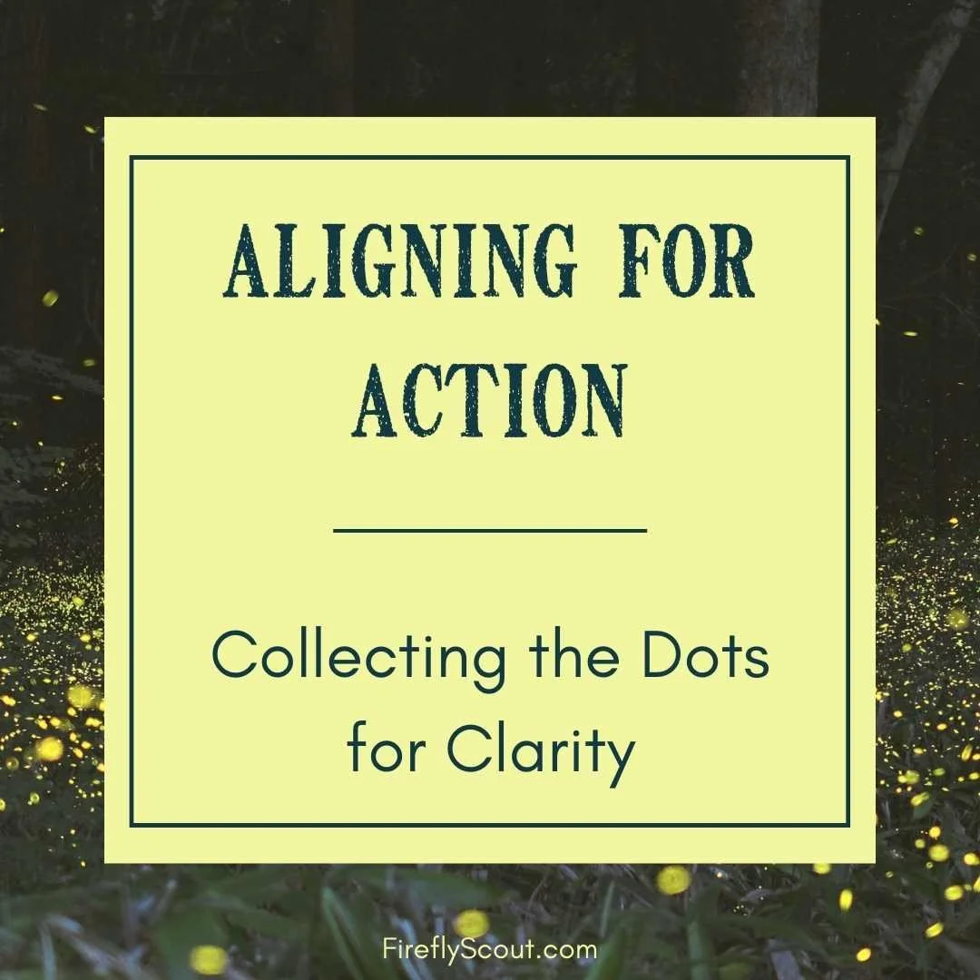 Aligning for Action: Collecting the Dots for Clarity — Firefly Scout