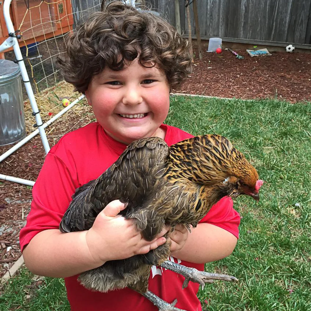 Ma'alot Farms | Permaculture Farm and Education Center in Los Gatos ...