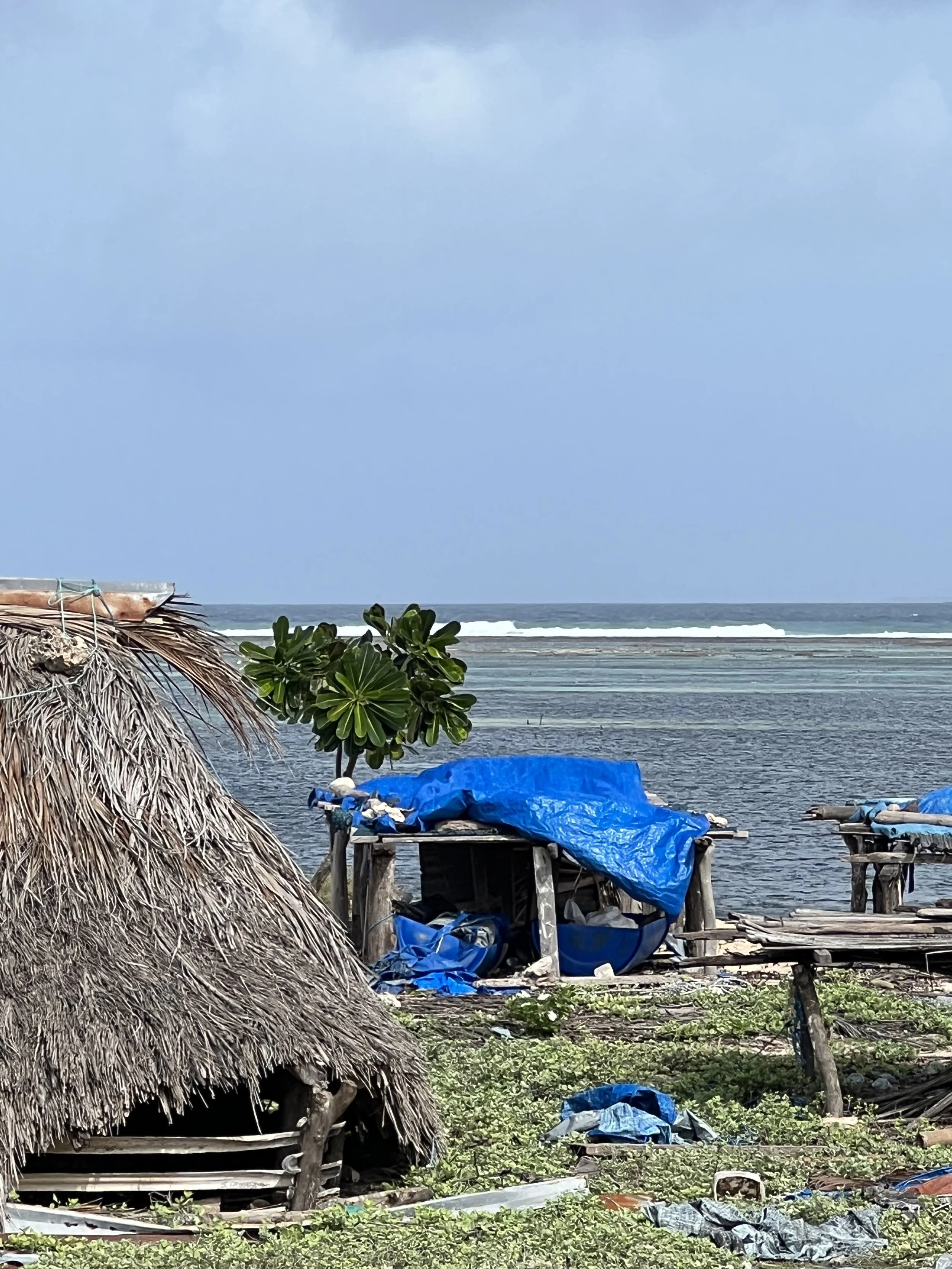 Nemberala, Rote Island Daily Surf Report — Lualemba Bungalow Resort