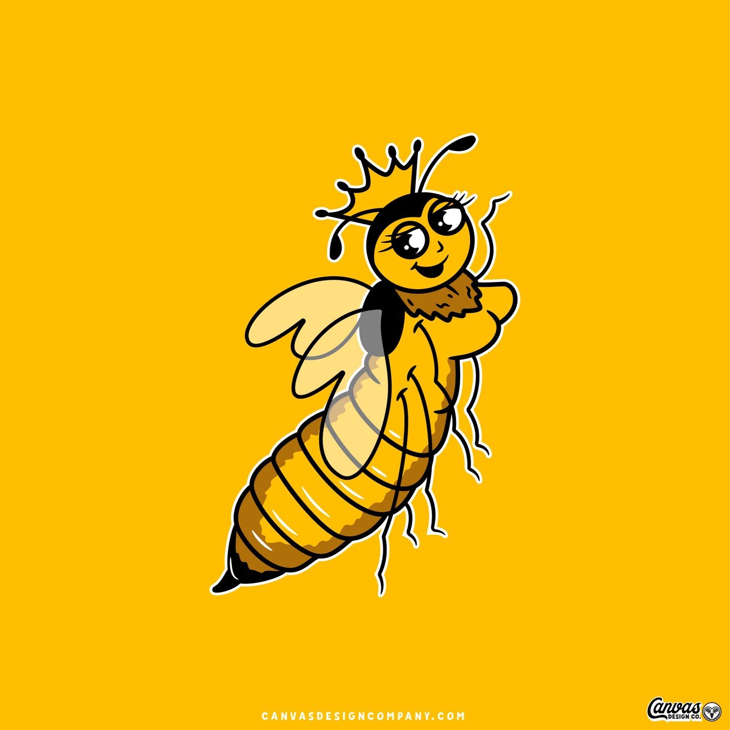 Canvas Design Company