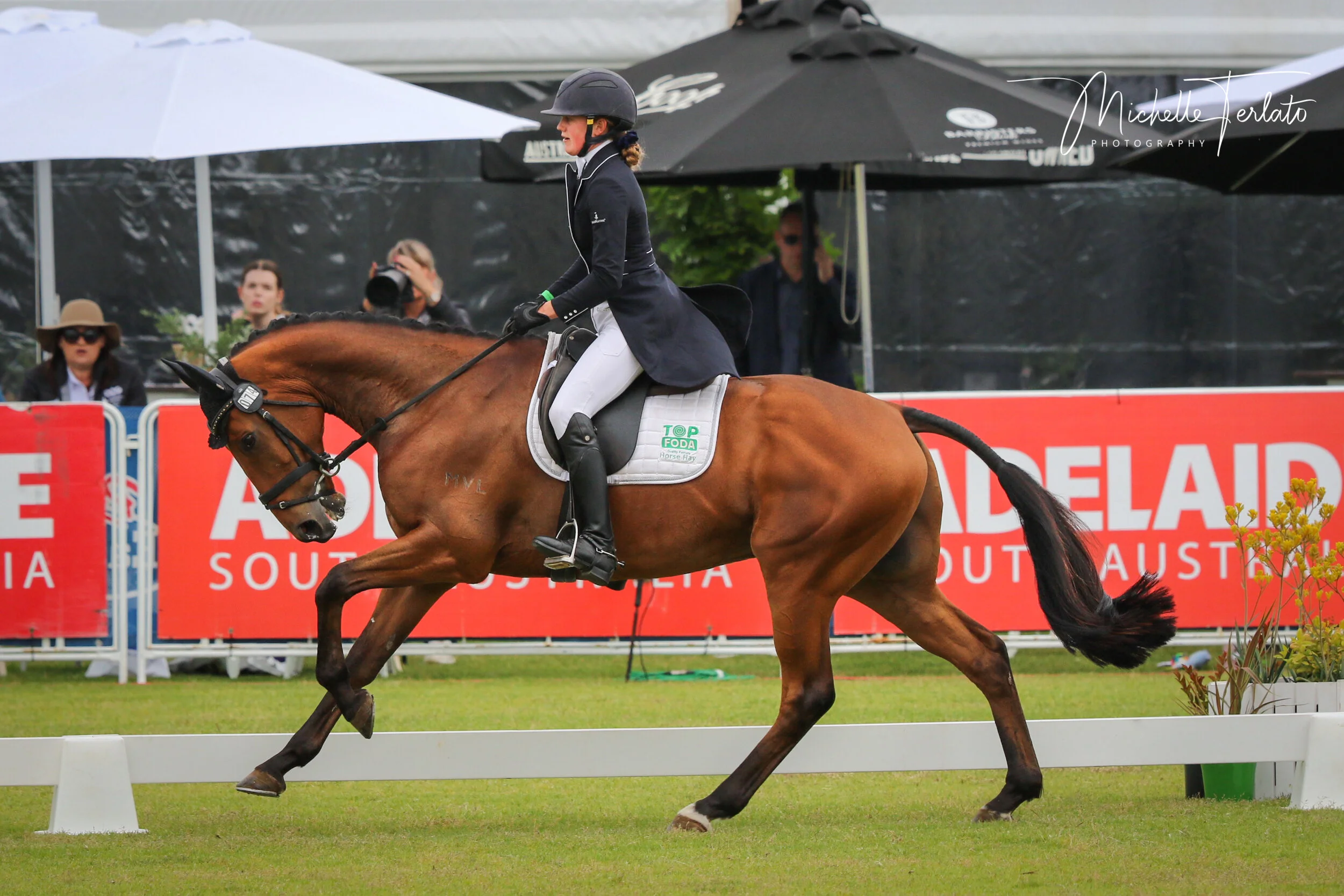4 Dressage Adelaide 3 Day Event 2019 MICHELLE TERLATO PHOTOGRAPHY 4 Dressage Adelaide 3 Day Event 2019 MICHELLE TERLATO PHOTOGRAPHY