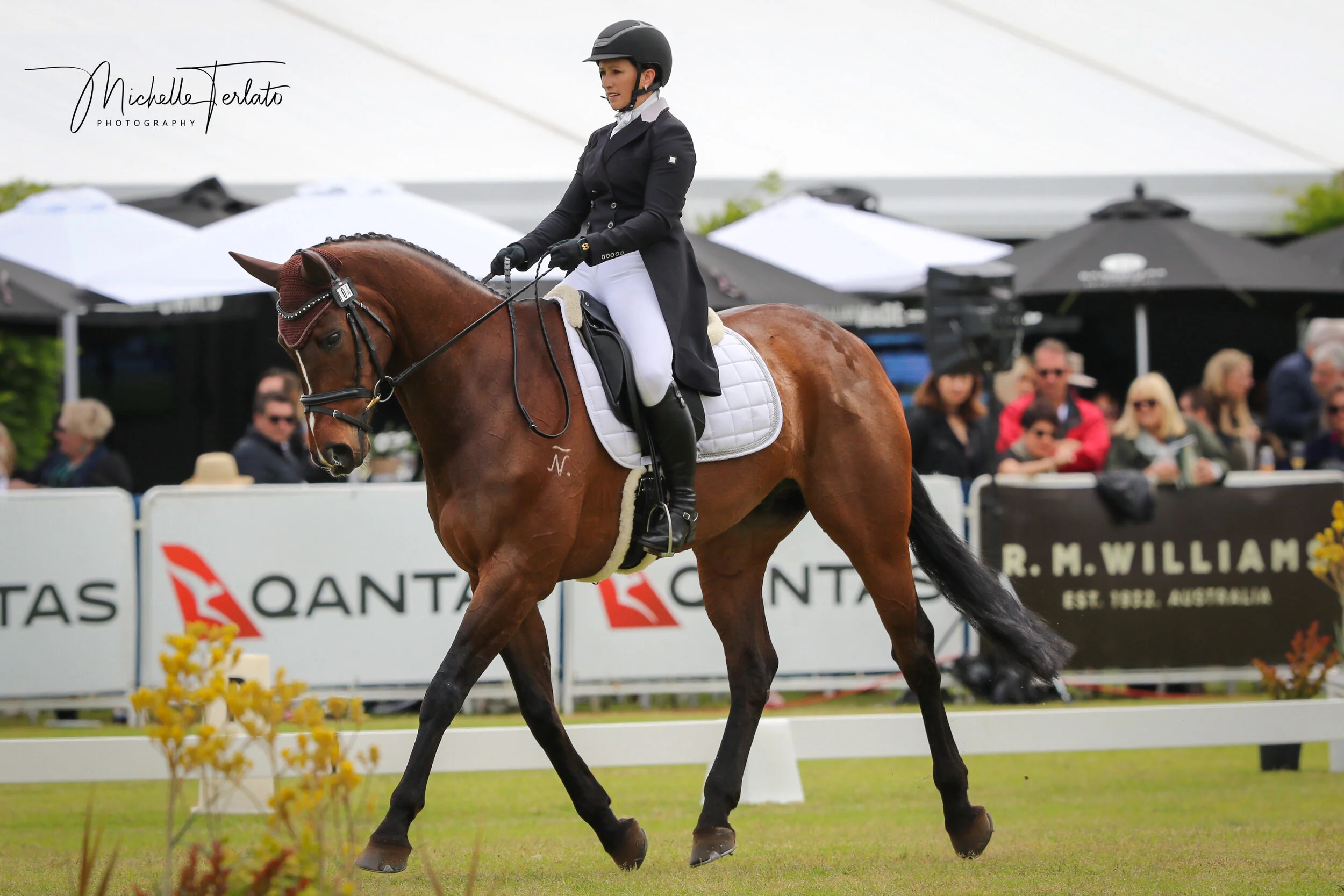 5 Dressage Adelaide 3 Day Event 2019 MICHELLE TERLATO PHOTOGRAPHY 5-dressage-adelaide-3-day-event-2019-michelle-terlato-photography
