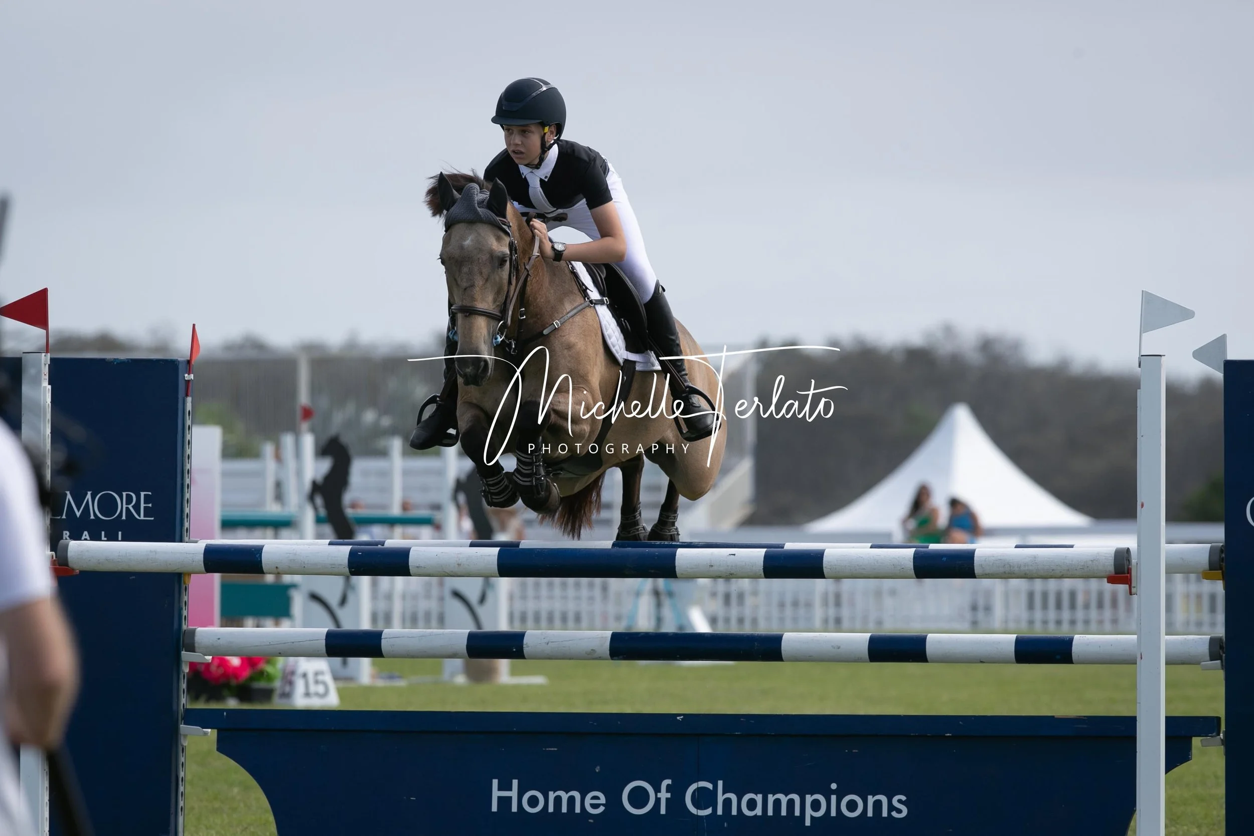 Magic Millions 2024 JUNIORS Show Jumping Folder 1 uploaded — MICHELLE TERLATO PHOTOGRAPHY