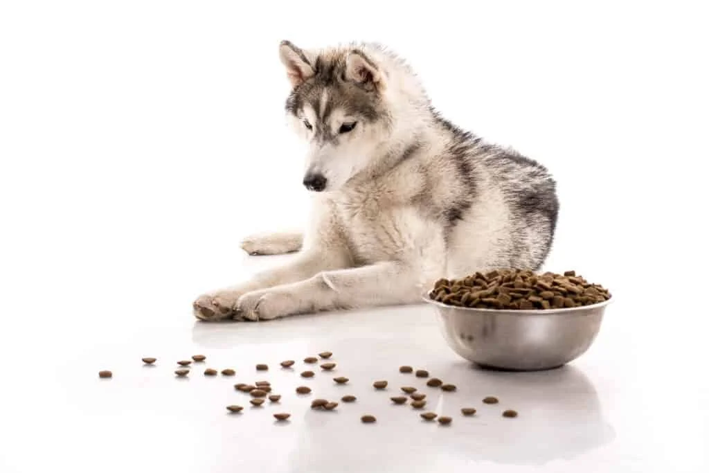 Nutrition — Husky Haven of Florida