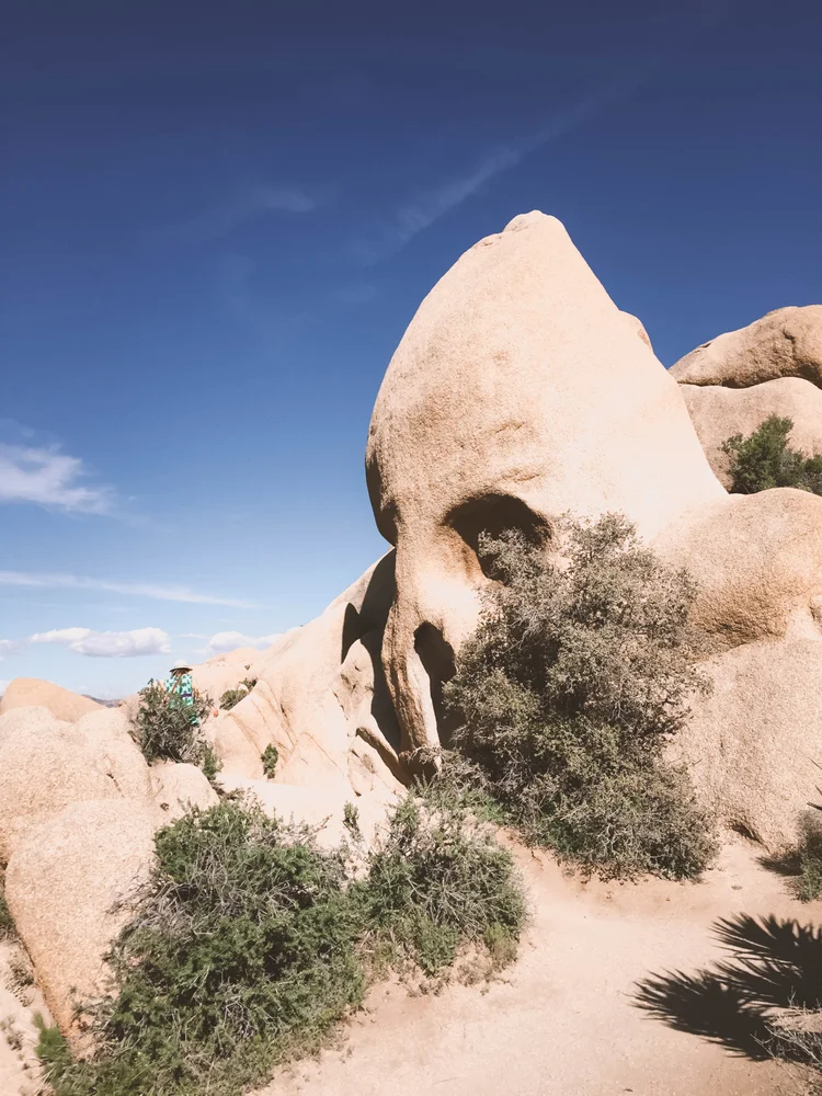 Everything you need to know about visiting Joshua Tree! — Avery Abroad