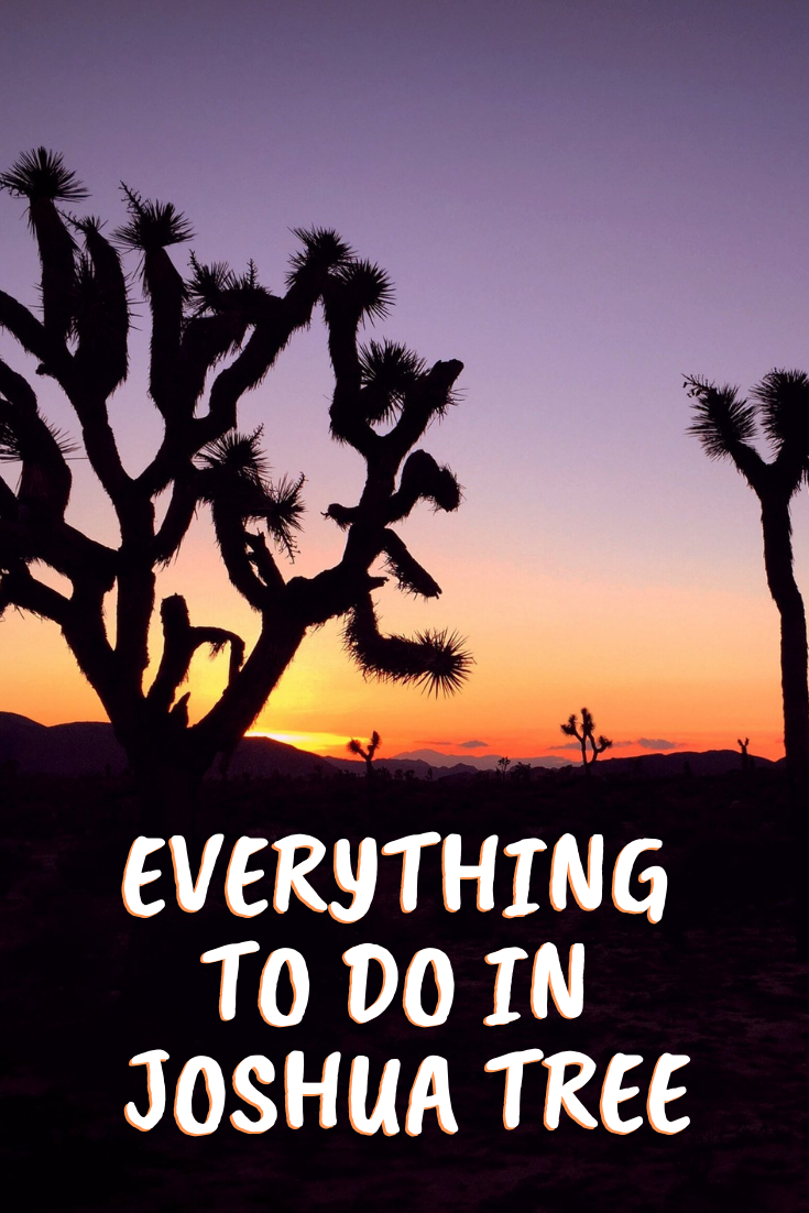 Everything you need to know about visiting Joshua Tree! — Avery Abroad