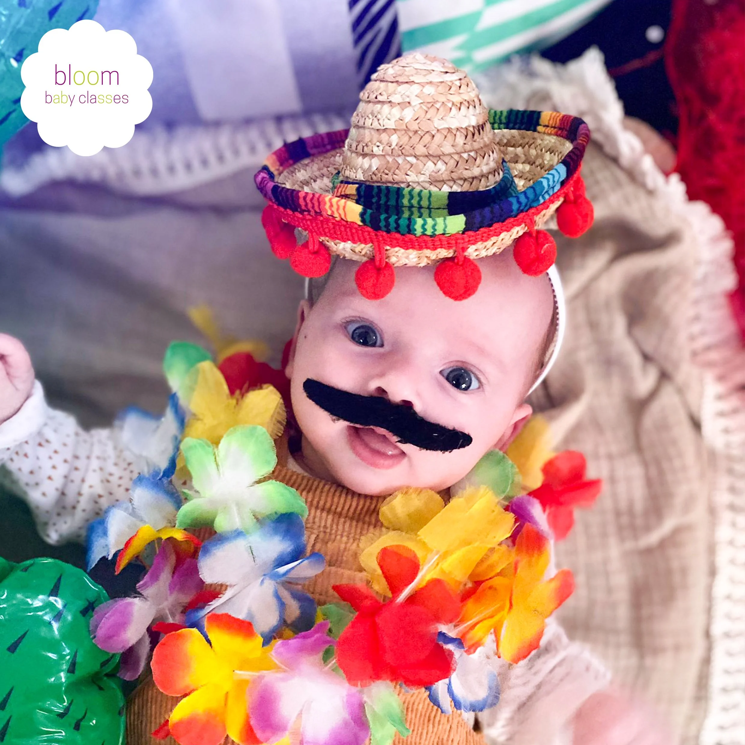 Welcome To Bloom Baby Classes, Multi Award Winning Baby Development ...