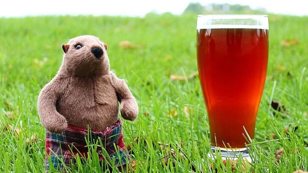 Breweries in McHenry County — McHenry County Living