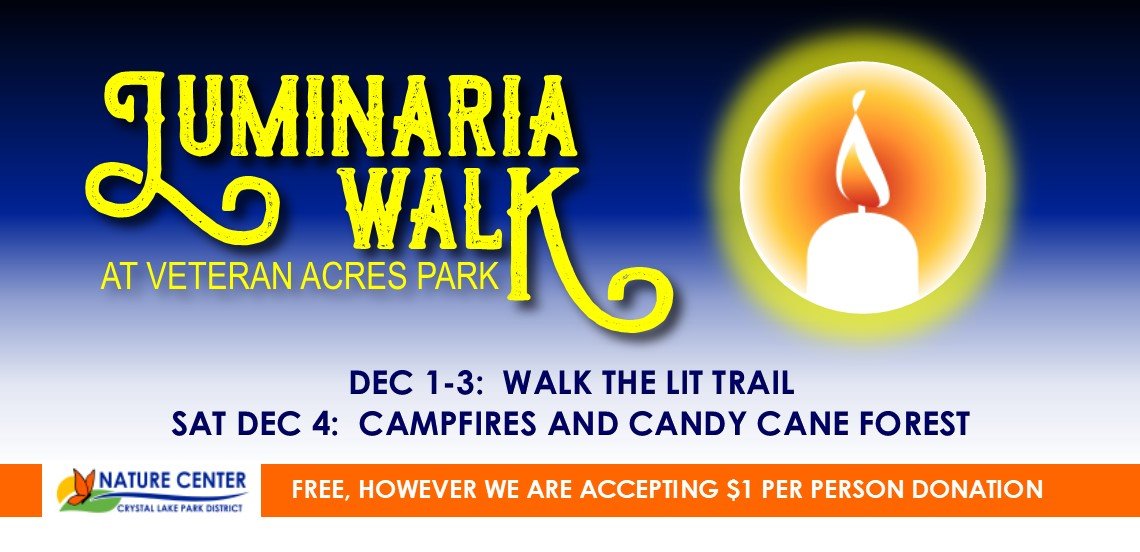 Luminaria Walk — McHenry County Living