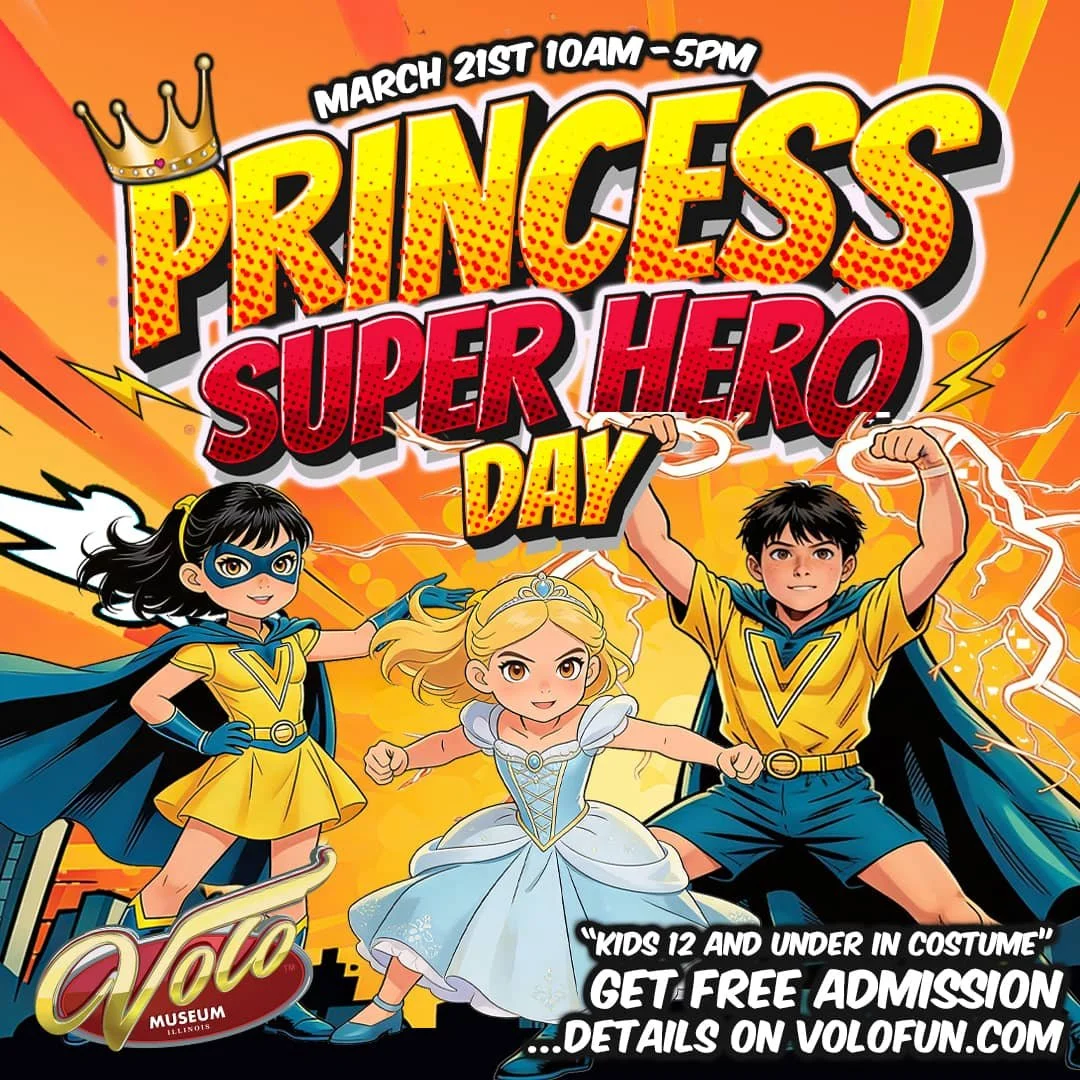 Princess Super Hero Day — McHenry County Living