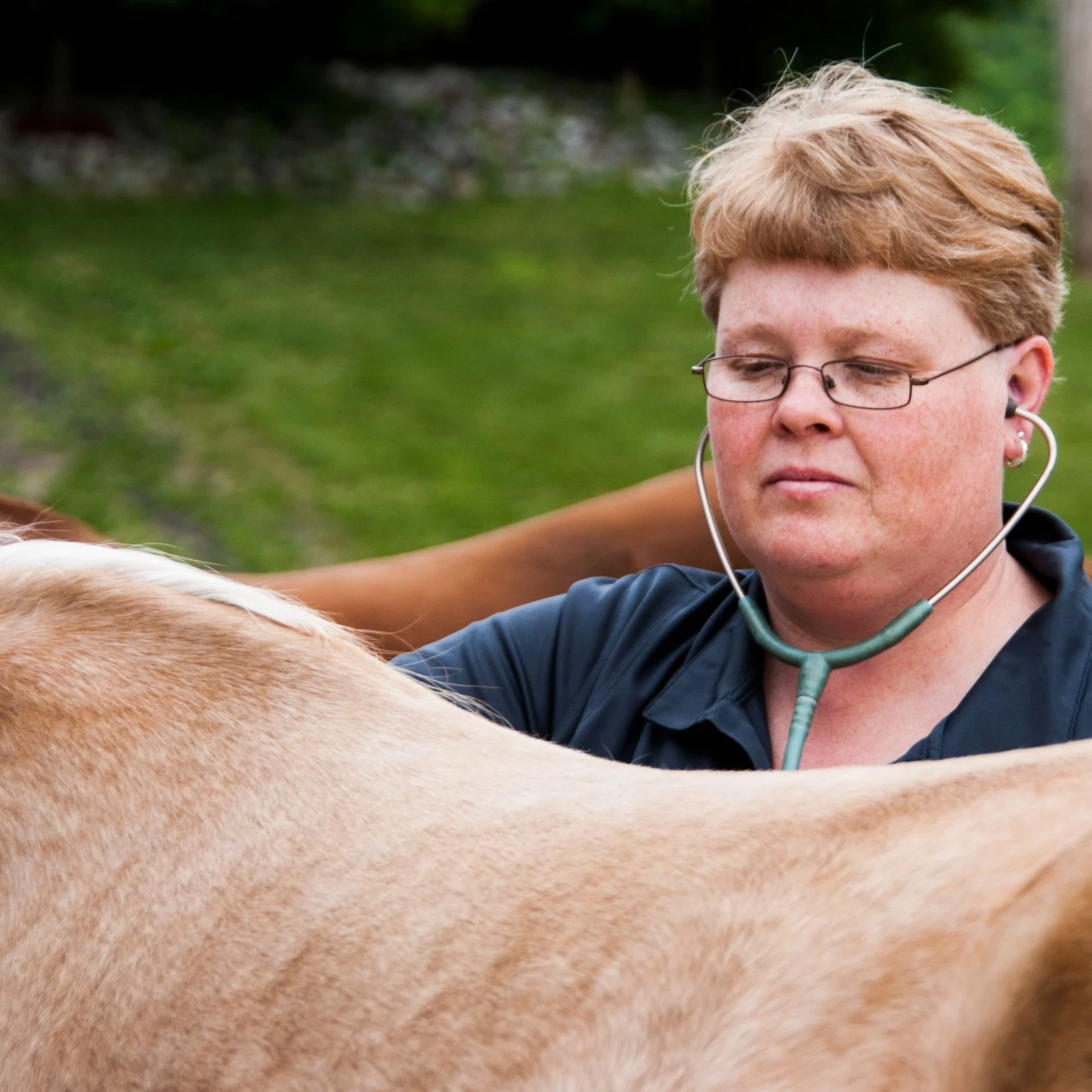 House Calls — Shawnee Animal Clinic