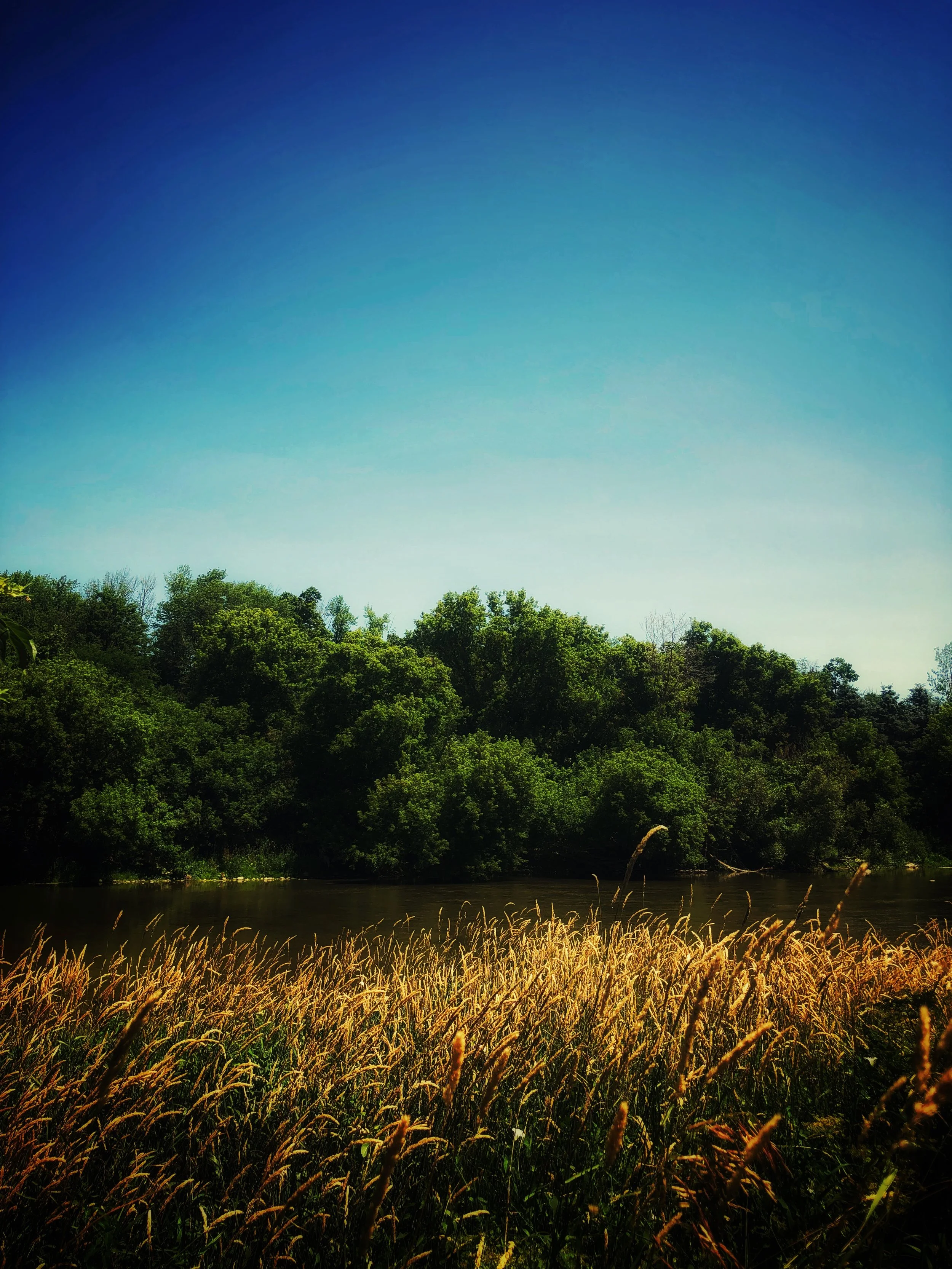 St. Jacobs Village - Rediscover St. Jacobs