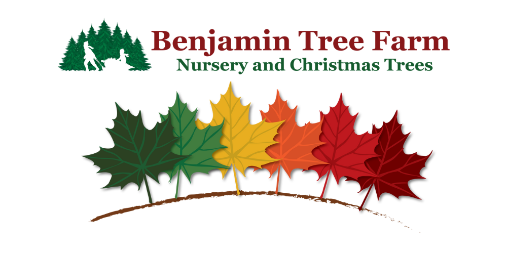 Pumpkinpalooza — St. Jacobs Village