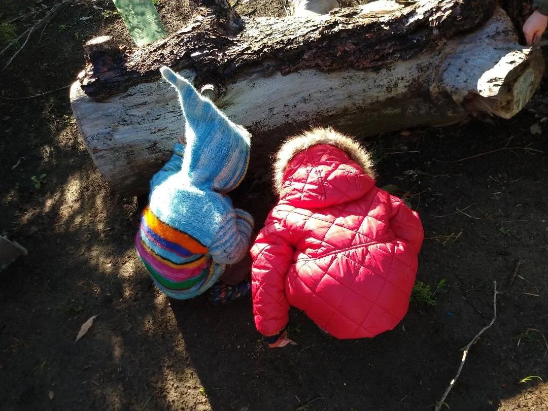 POP UP Bush Playgroup — Nature Play Learning