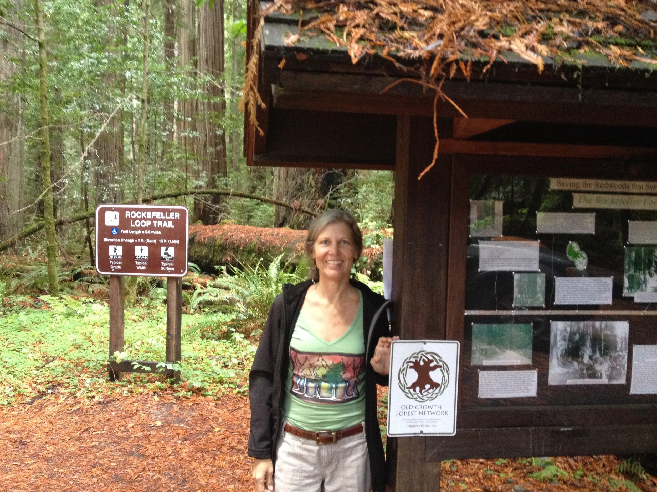 Rockefeller Forest - Humboldt Redwoods State Park — Old-Growth Forest ...